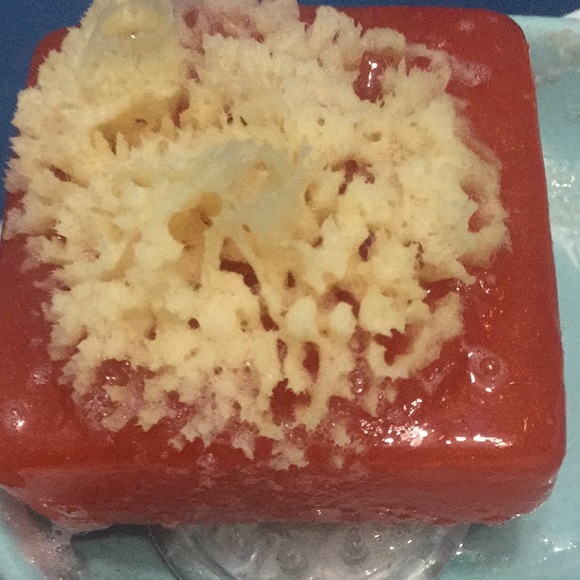 Primal Elements | Bath & Body | Sponge Bar Island Oasis Flavor | Poshmark